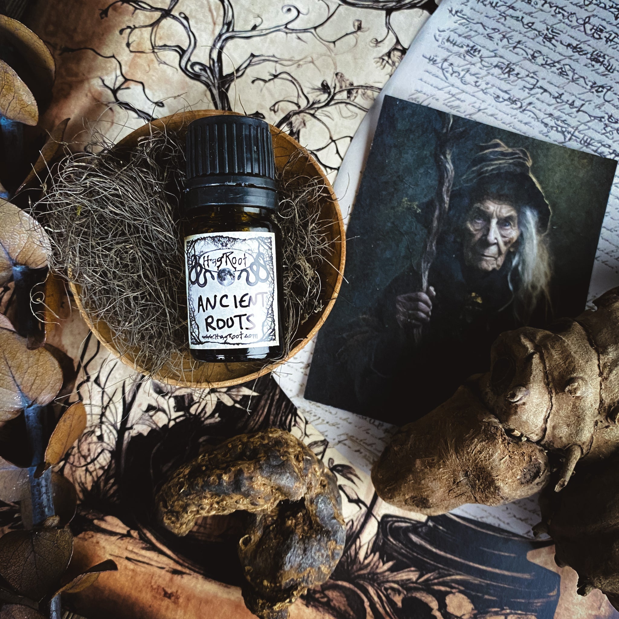 ANCIENT ROOTS-(Vetiver, Tonka Bean, Patchouli, Myrrh, Cedar, Oakmoss,