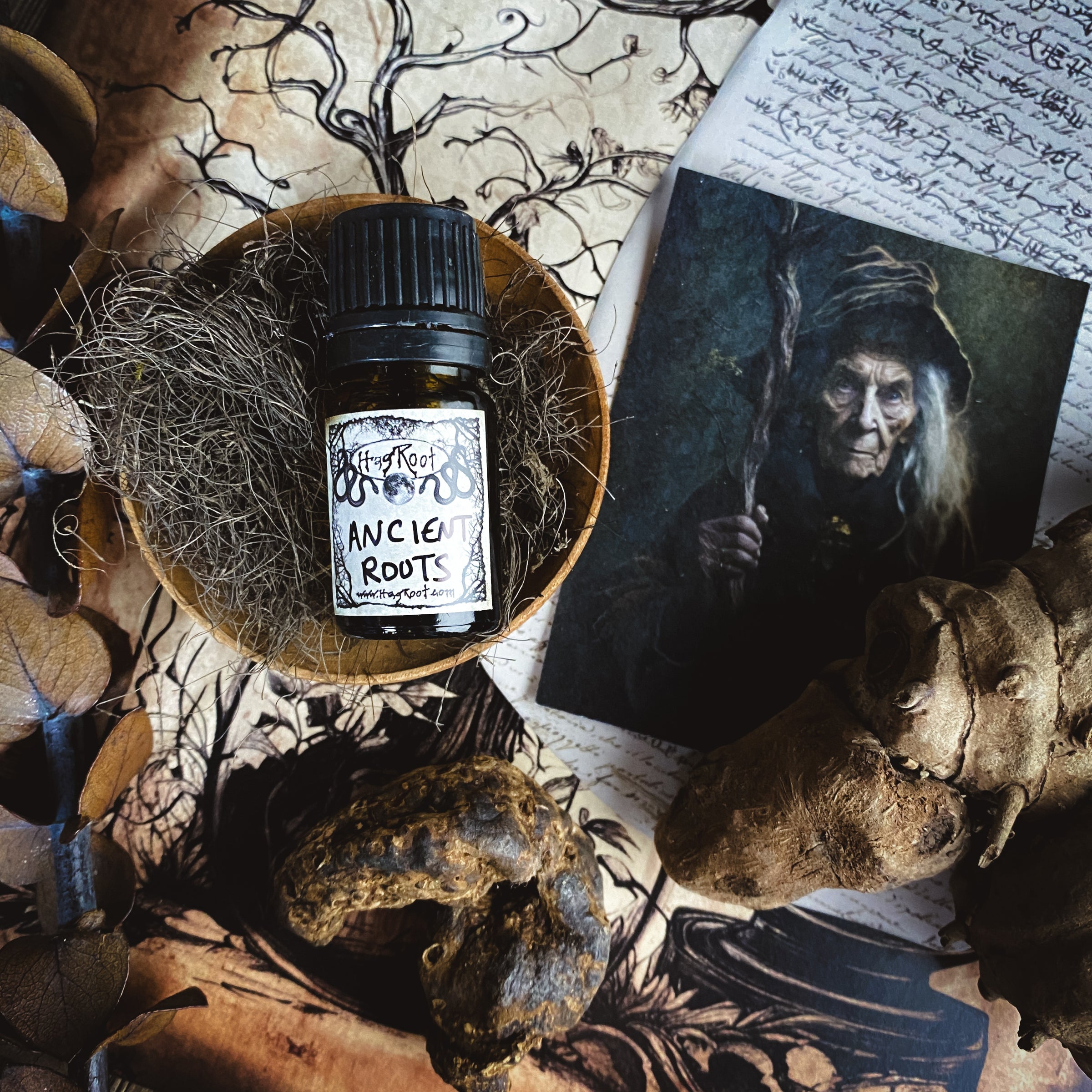 ANCIENT ROOTS-(Vetiver, Tonka Bean, Patchouli, Myrrh, Cedar, Oakmoss,