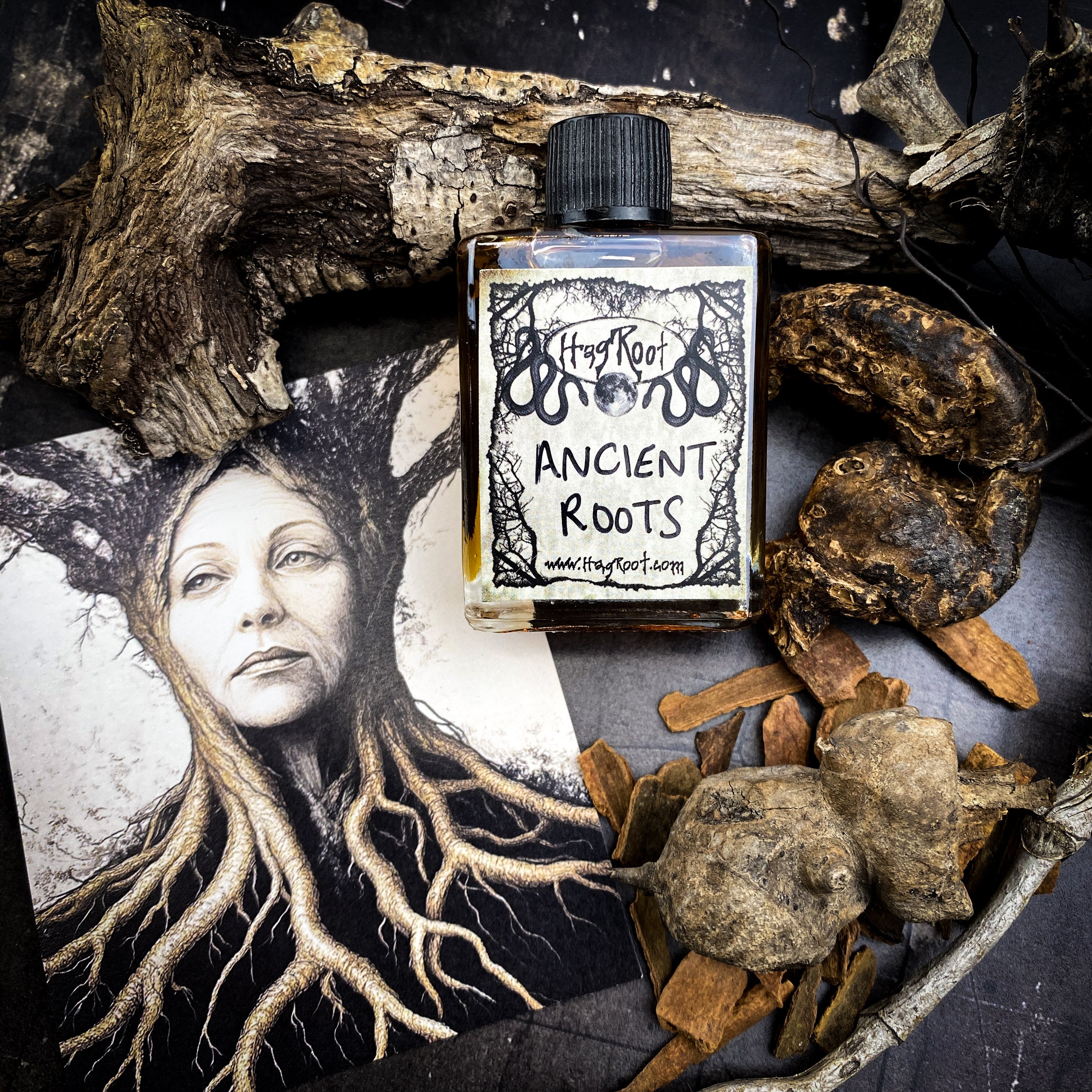 ANCIENT ROOTS-(Vetiver, Tonka Bean, Patchouli, Myrrh, Cedar, Oakmoss,