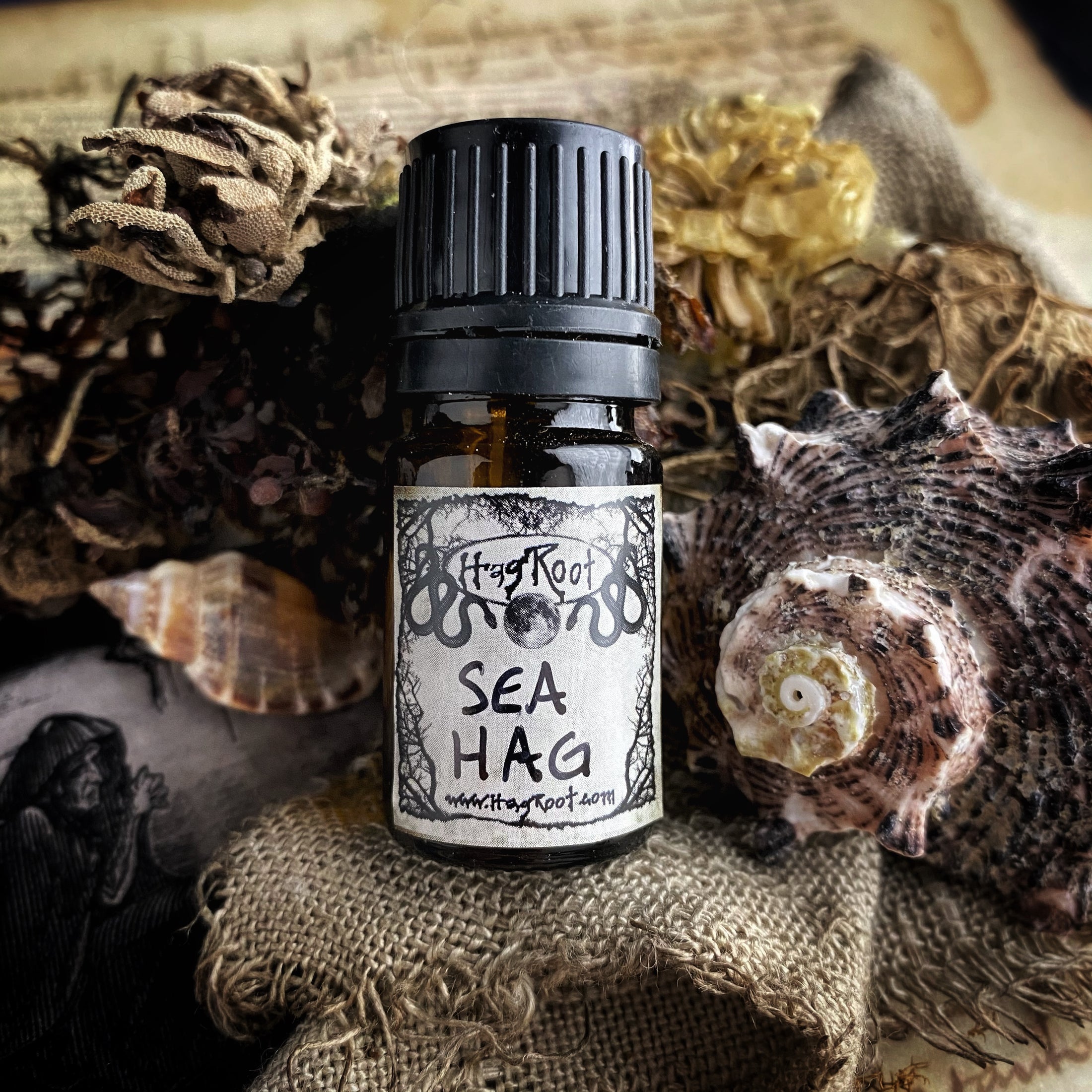 SEA HAG-(Moss, Driftwood, Sea Air, Frankincense Tears, Vetiver)-Perfum
